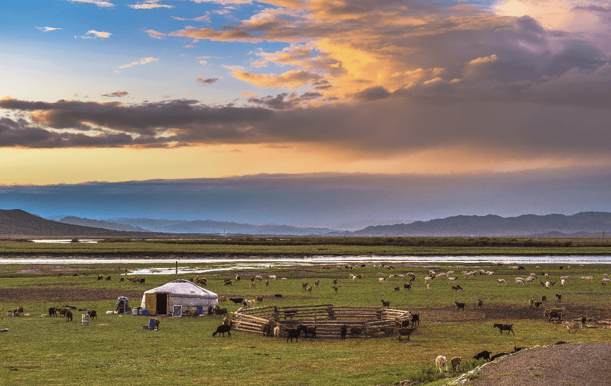 Gobi Cashmere | Cashmere for Everyone