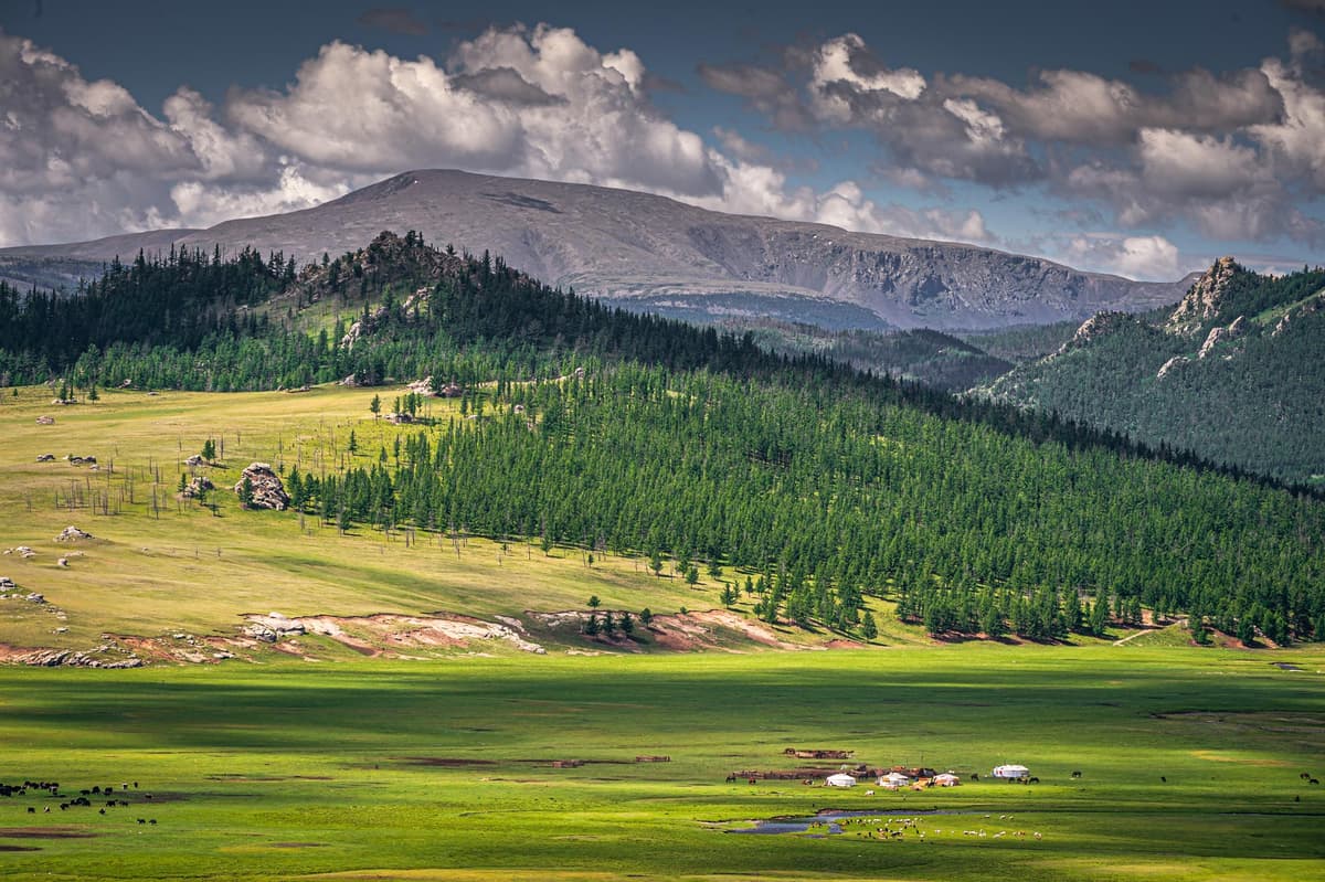 Gobi Cashmere | Cashmere for Everyone